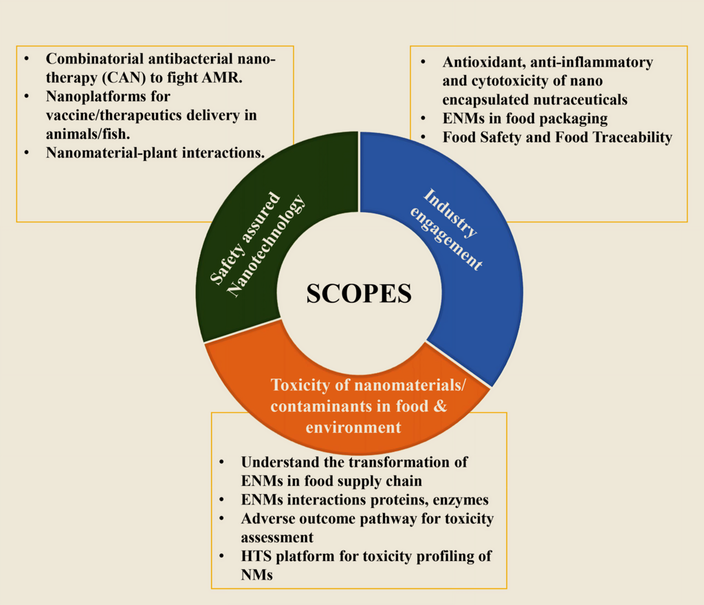 safe-nano.lab.mcgill.ca - Canada